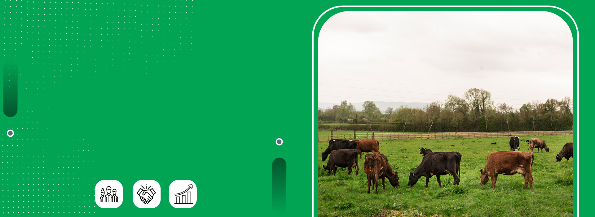 Rikaz Company – field of importing and distributing chemicals – raw ...