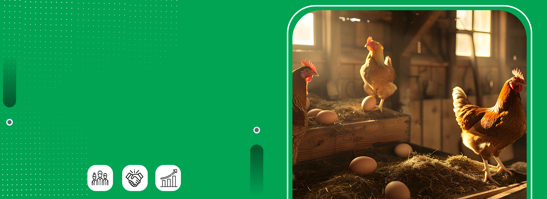 Rikaz Company – field of importing and distributing chemicals – raw ...